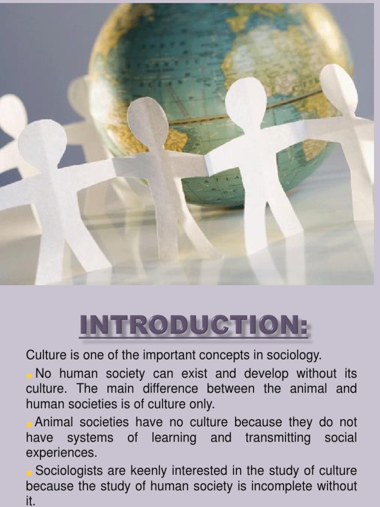 Understanding Culture: A Sociological Perspective | PDF | Traditions ...