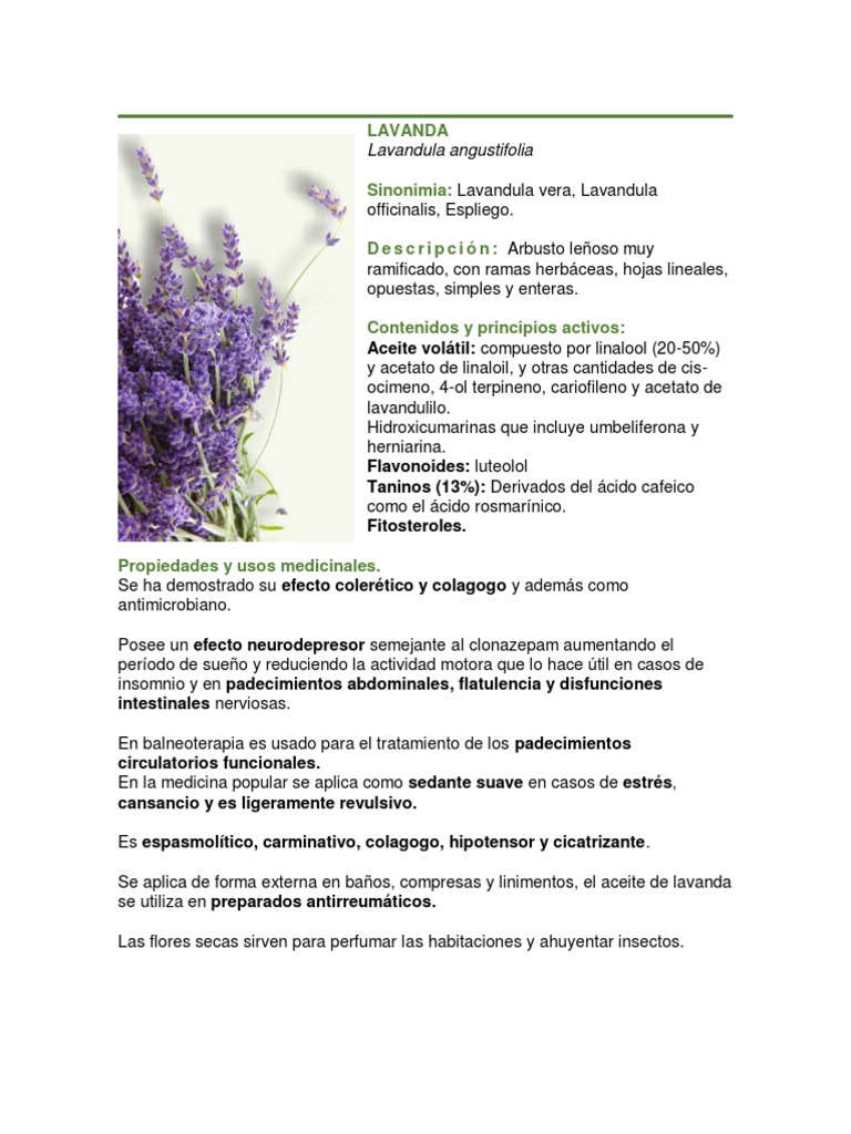 LAVANDA | PDF | Lavandula | Medicina