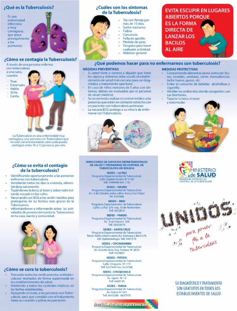 Triptico Tuberculosis | PDF