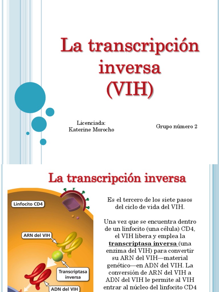 La Transcripcion Inversa | PDF