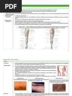 Clasificación CEAP de Insuficiencia Venosa | PDF | Trombo | Vena