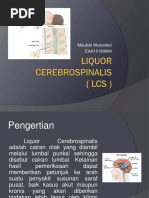 Pemeriksaan dan Analisis LCS | PDF