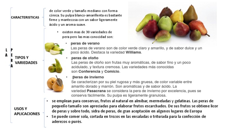 Diapositivas Pera | PDF