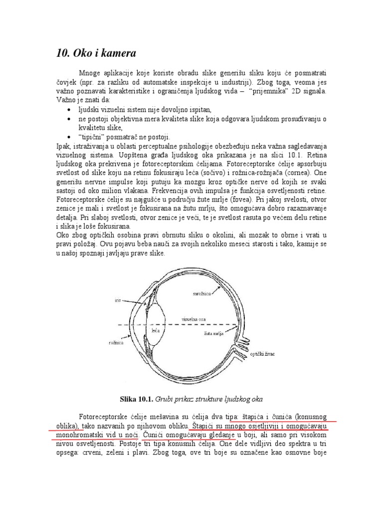 Obrada Slike by Odri | PDF