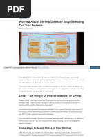 Lottery Sheet | PDF | Home & Garden