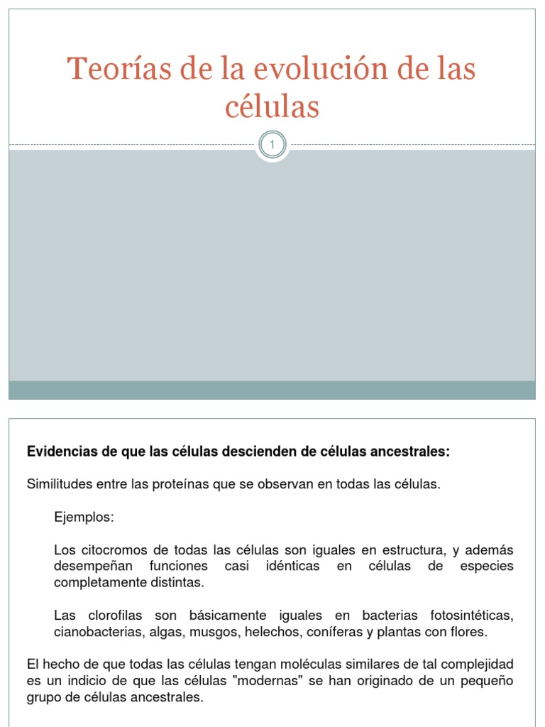 Historia De La Evolución De La Célula Pdf Procariota Eucariotas