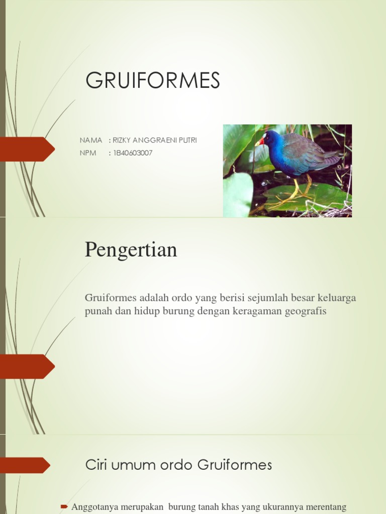 GRUIFORMES | PDF | Sains & Matematika