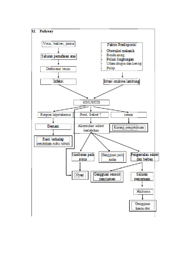 Pathway Sinusitis' | PDF