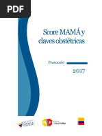 Protocolo Score Mamá y Claves Obstétricas | PDF | Muerte materna ...