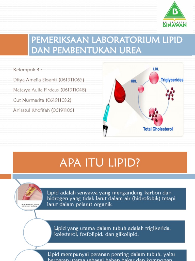 Pemeriksaan Laboratorium Lipid Dan Pembentukan Urea | PDF | Kesehatan Holistik | Sains & Matematika