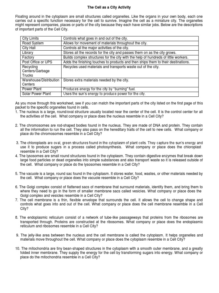Cell City Activity | PDF | Cytoplasm | Cell (Biology)