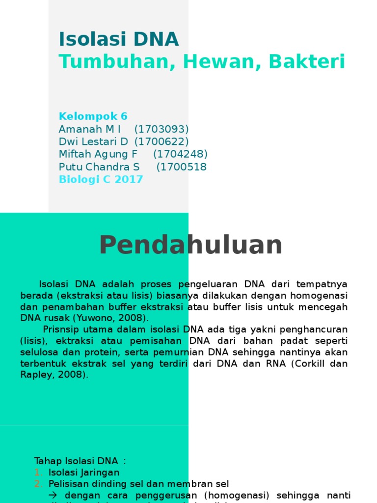 Tahapan dan Proses Isolasi DNA | PDF