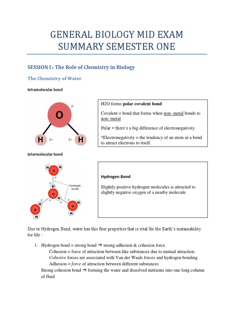 General Biology Mid Exam Overview | PDF | Cell (Biology) | Rna