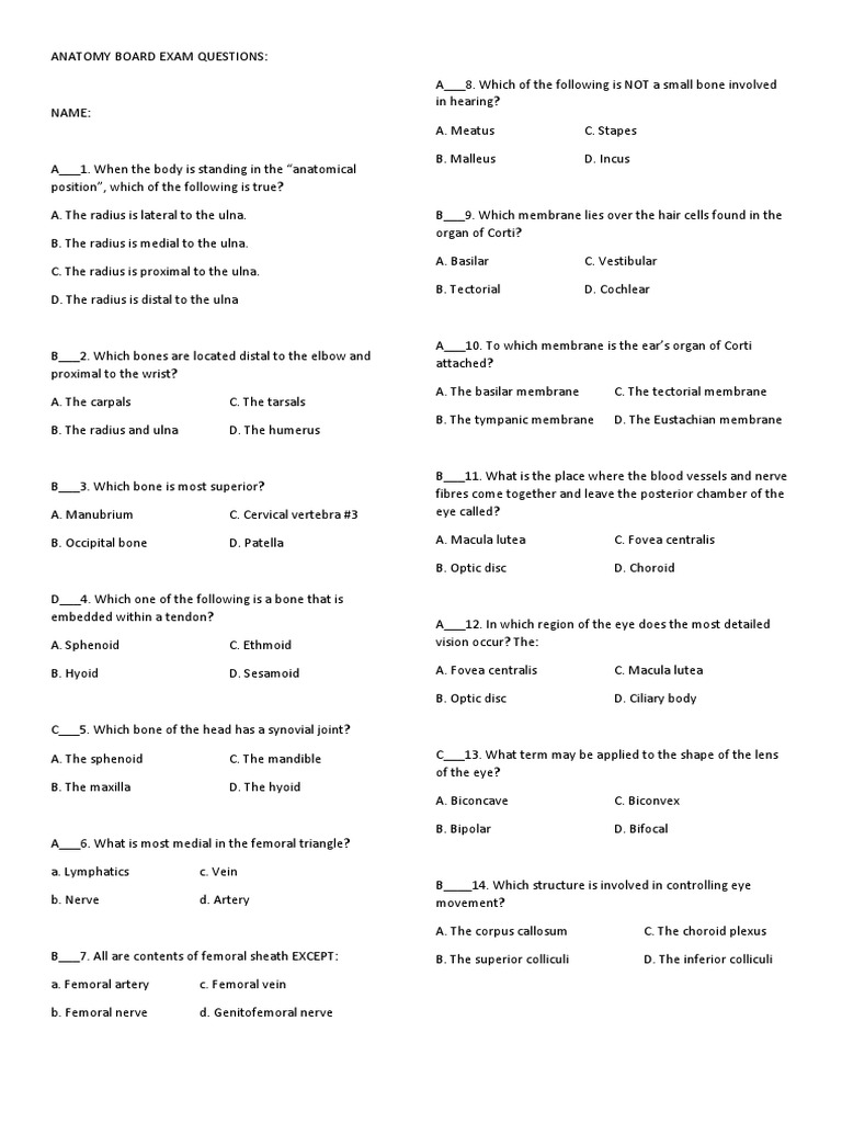 Anatomy Board Exam Questions 2 | PDF | Heart Valve | Brainstem