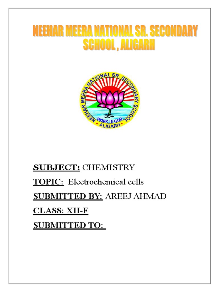 Class 12th Chemistry Project On Electrochemical Cells | PDF ...