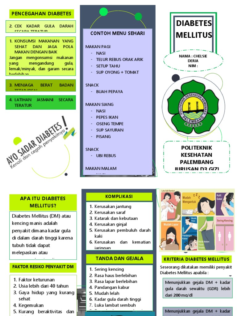 Leaflet DM Lansia | PDF