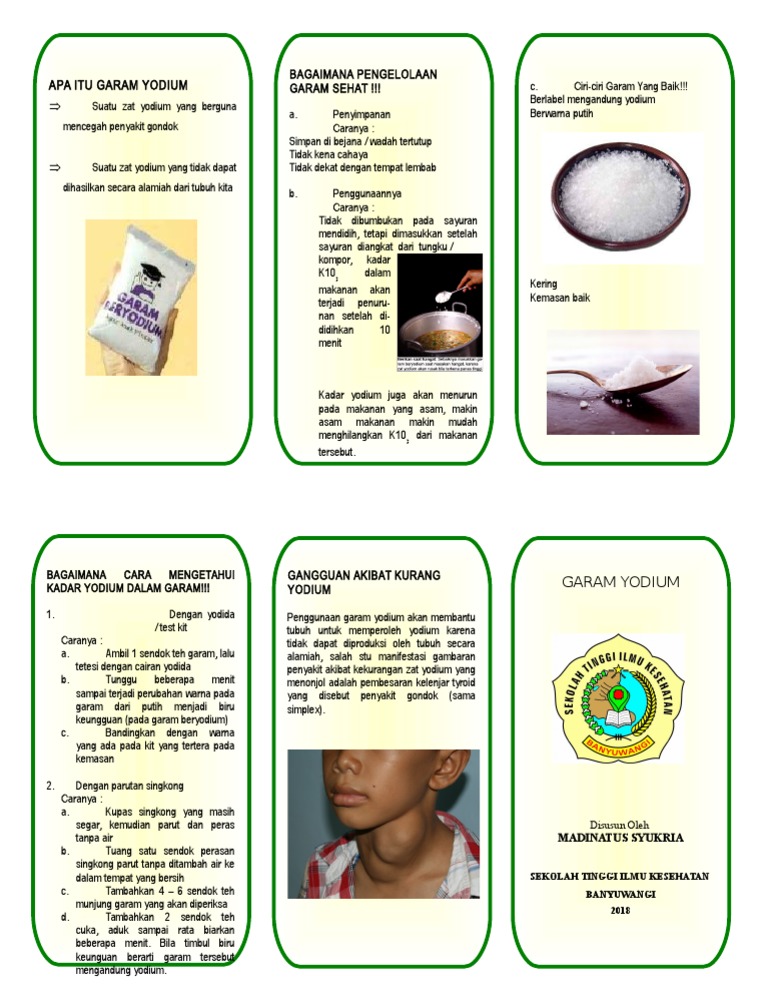Leaflet Garam Yodium | PDF