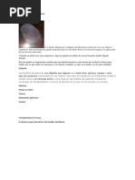 Solicitud IHTT | PDF | Honduras