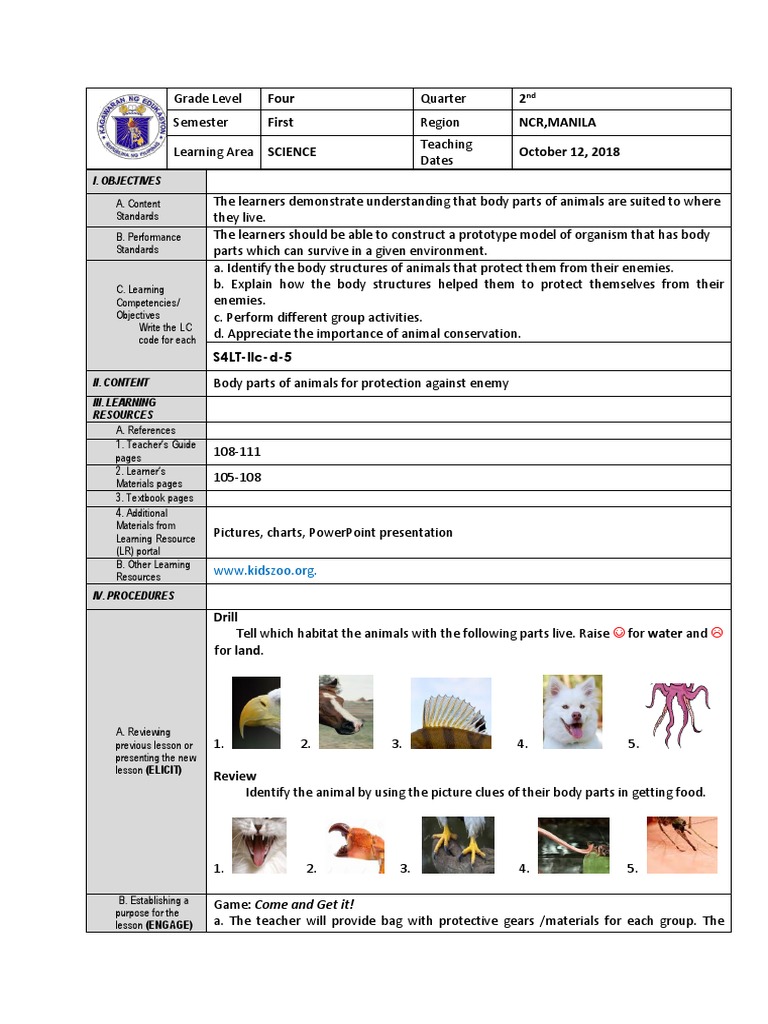 Science DLL: Animal Protection Lesson Plan | PDF | Learning | Teachers
