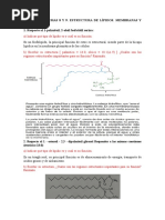Ficha Técnica Citrosan | PDF | Química | Biología