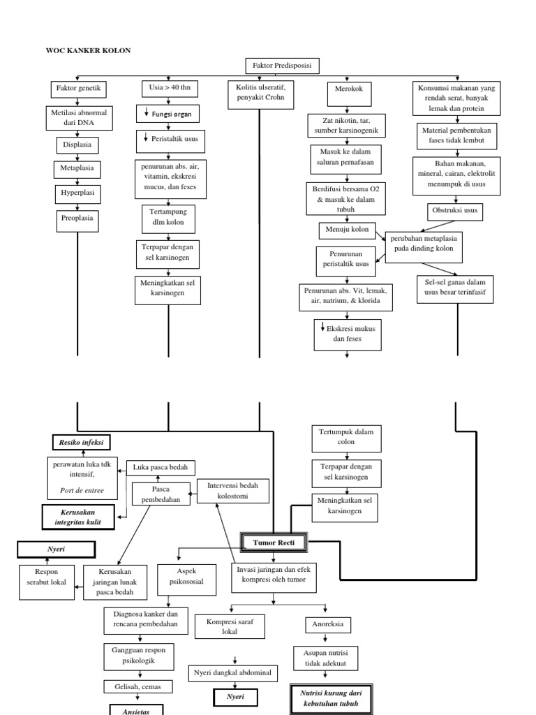 Pathway Tumor Recti | PDF