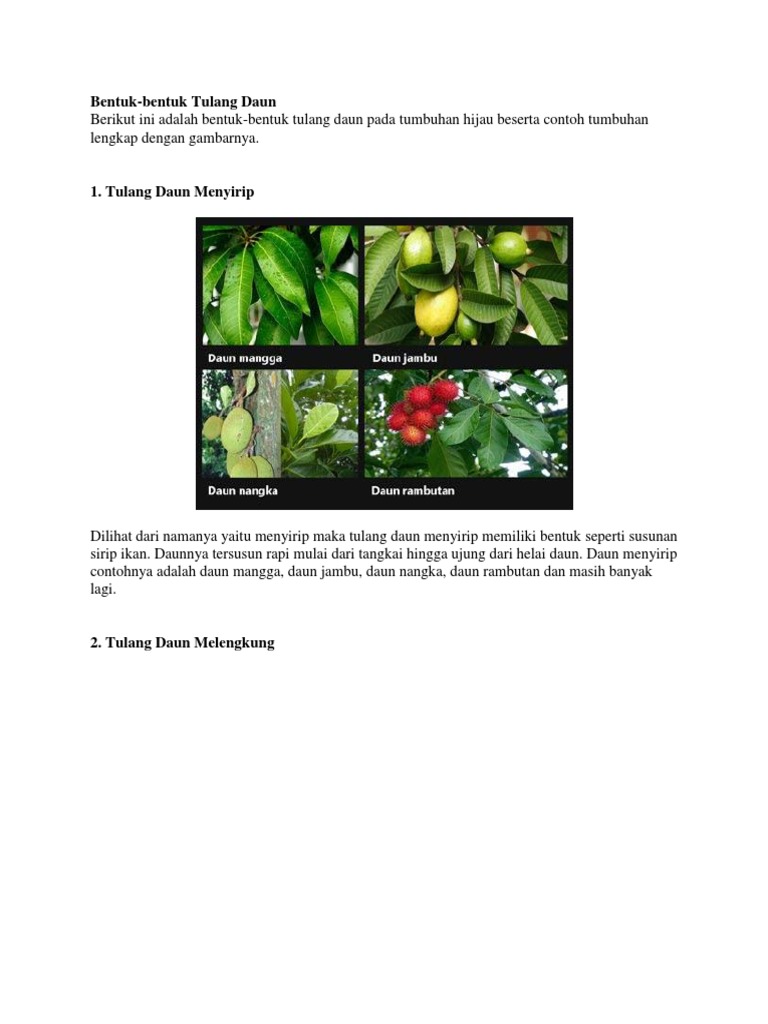 Bentuk TULANG DAUN | PDF