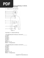 The Endocrine System - Test Questions | PDF | Endocrine System ...