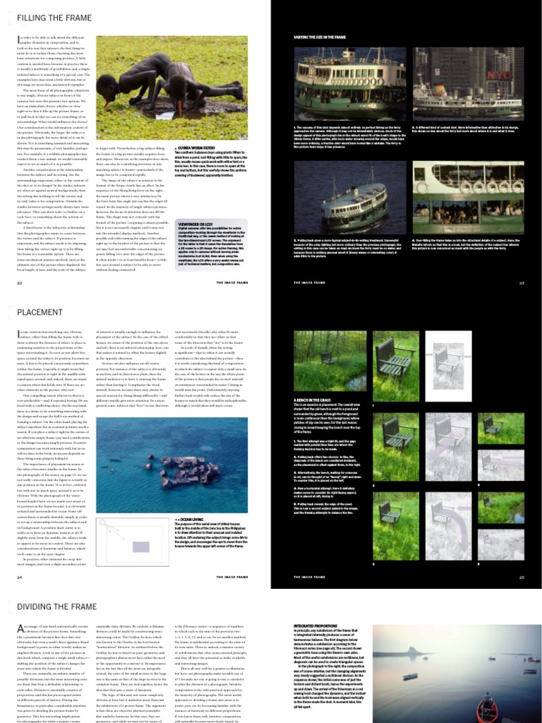 The Photographer's Eye Composition and Design For Better Digital ...