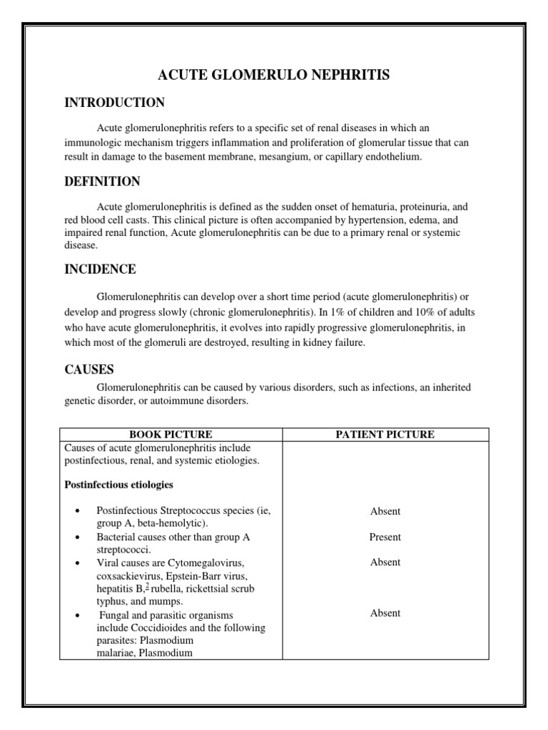 Case Study On AGN | PDF | Urinary Bladder | Kidney