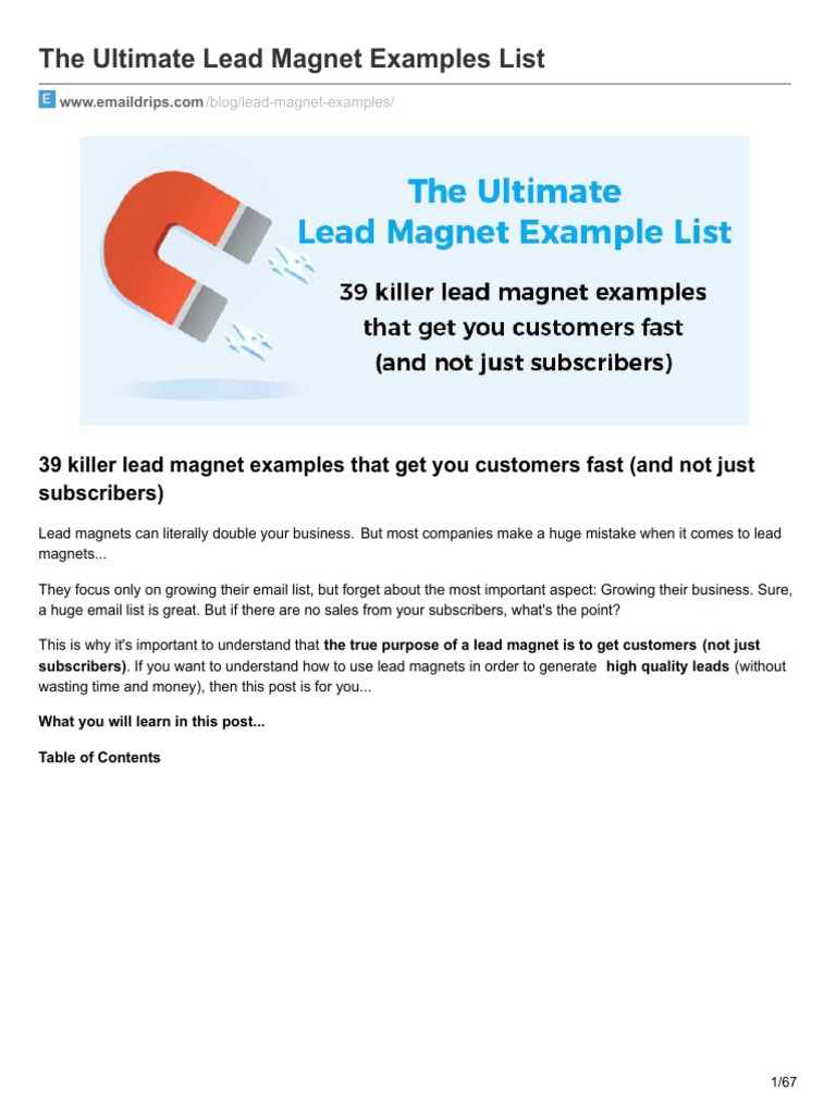 The Ultimate Lead Magnet Examples List PDF | PDF | Social Media ...