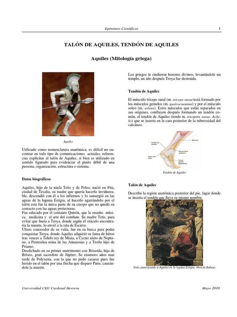 Eponimo Tendon Aquiles | PDF | Aquiles | Mitología griega