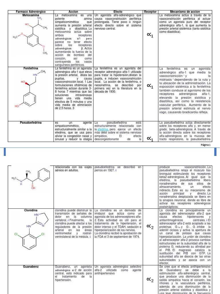 Farmaco Adrenergico 2.0 | PDF | Acetilcolina | Norepinefrina