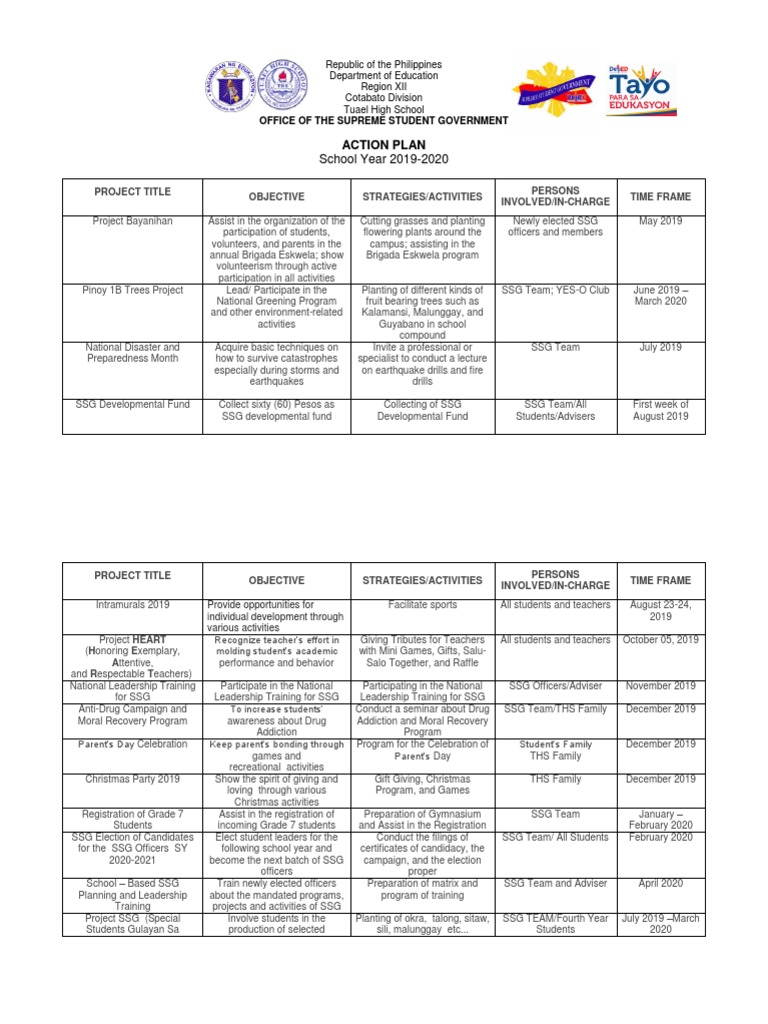 SSG Action Plan | PDF