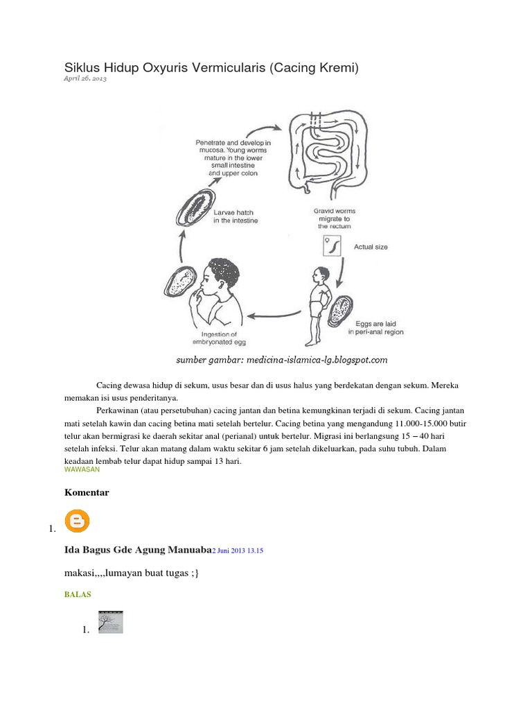 Siklus Hidup Oxyuris Vermicularis | PDF