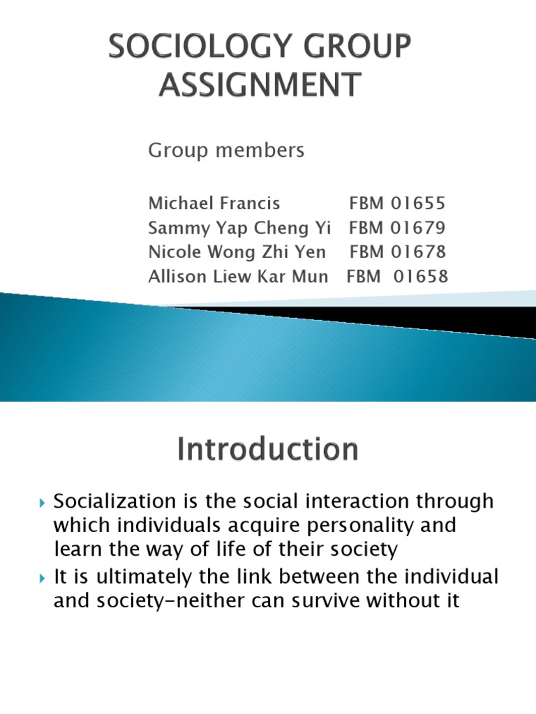 Sociology Group Assignment | PDF | Id | Socialization