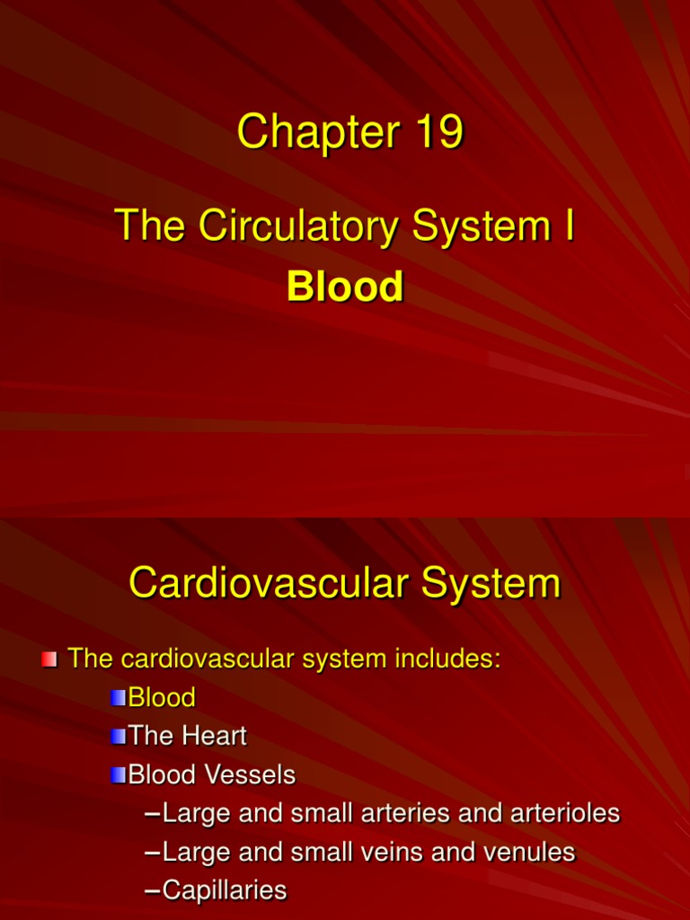 Chapter 19 Blood 2304 | PDF | White Blood Cell | Red Blood Cell