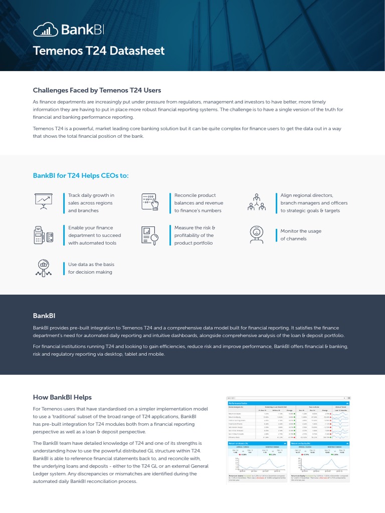 BBI - t24 Datasheet - 06 08 18 | PDF | Microfinance | Banks