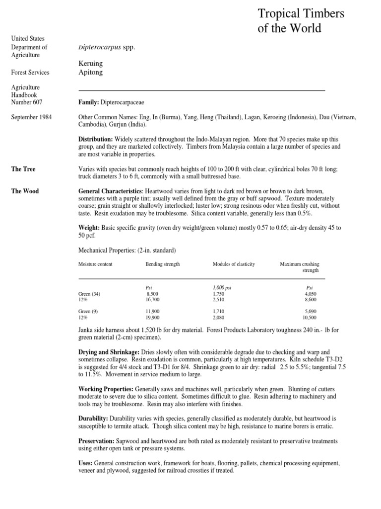 Apitong and Keruing Timber Overview | PDF | Wood | Materials