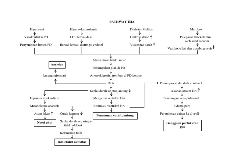 Pathway IMA dan Faktor Risiko Kardiovaskular | PDF