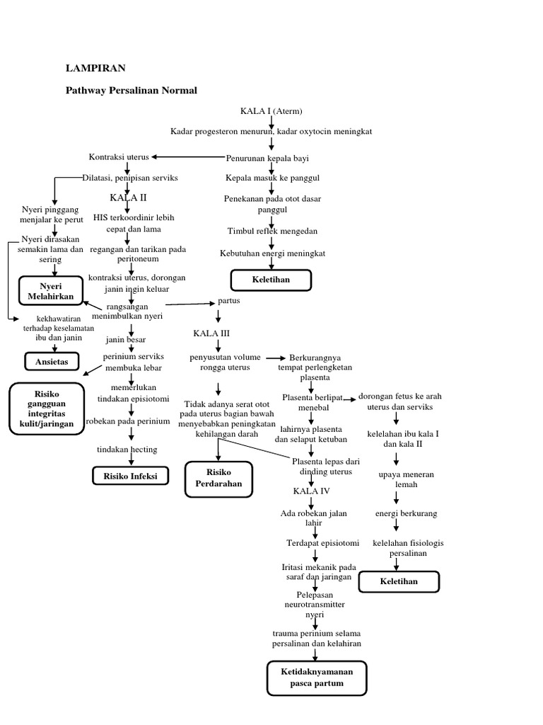 Pathway Persalinan Normal Kala I-IV | PDF