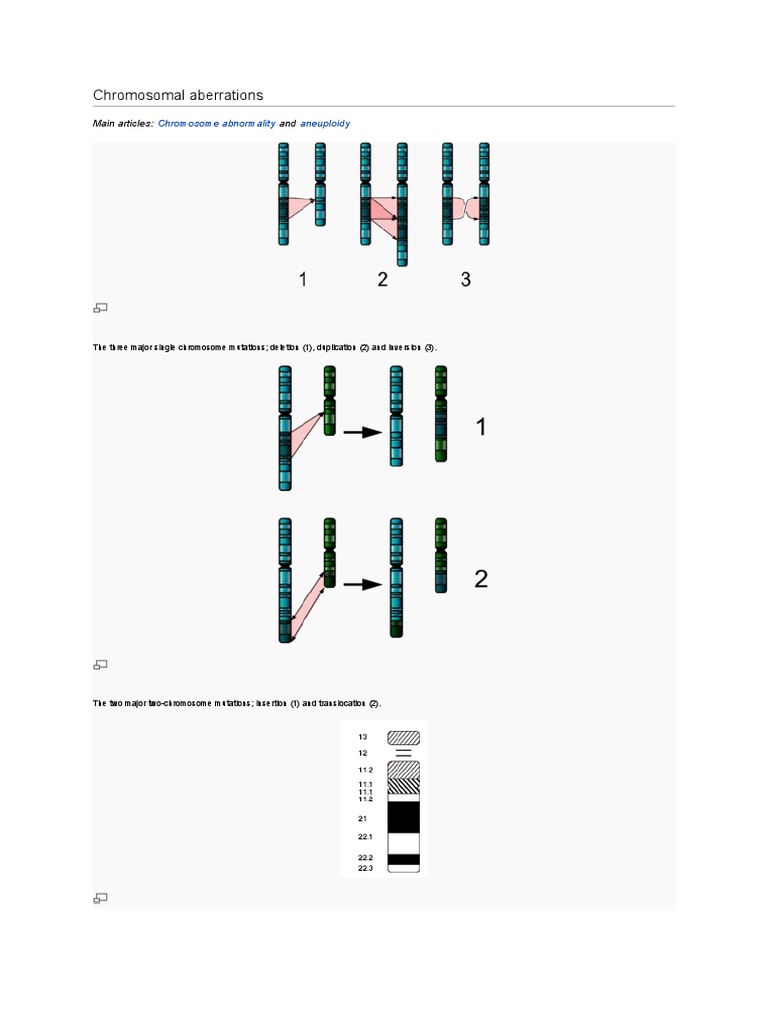 Chromosomal Aberrations: Chromosome Abnormality Aneuploidy | PDF ...