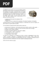 Calcaire 1 | PDF | Calcaire | Carbonate