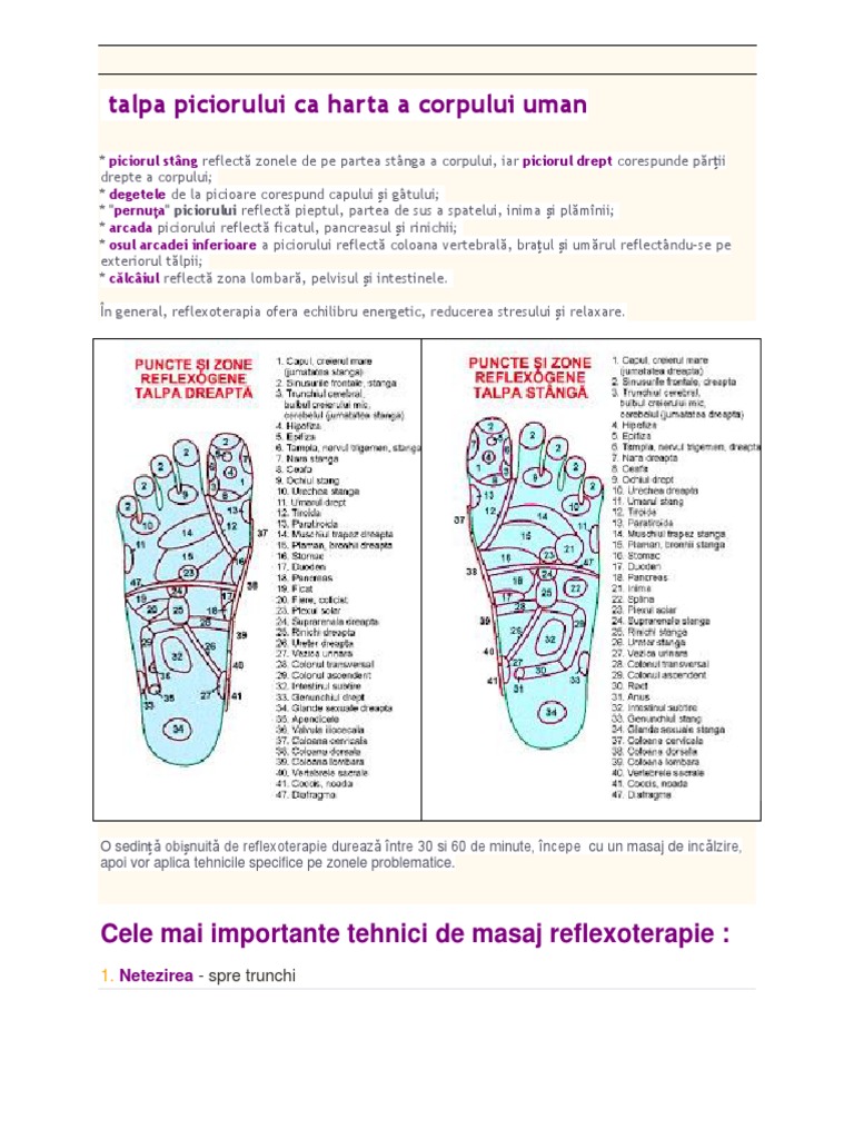 talpa piciorului ca harta a corpului uman