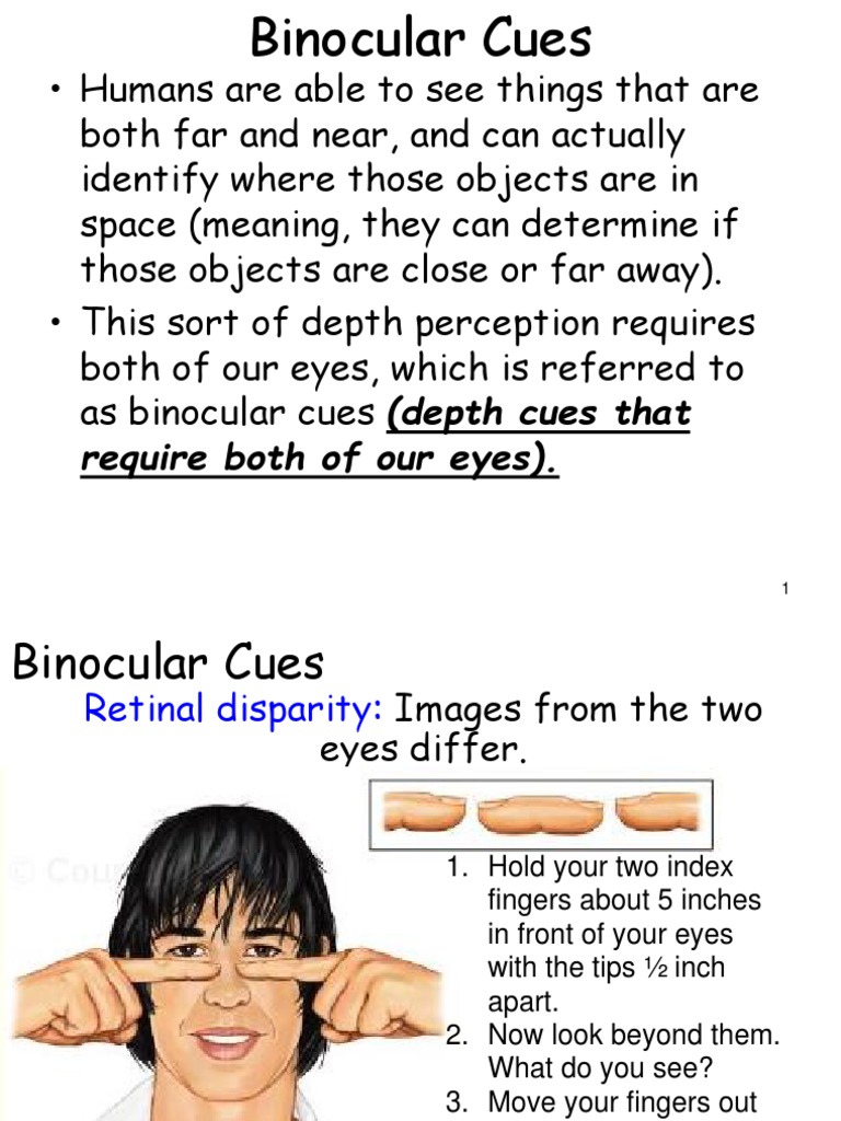 Binocular Cues Retinal Disparity