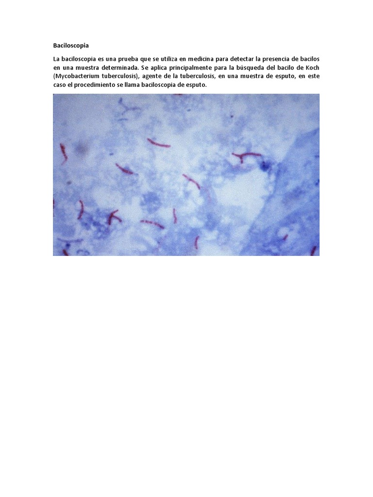 BACILOS | PDF | Microscopio | Laboratorios