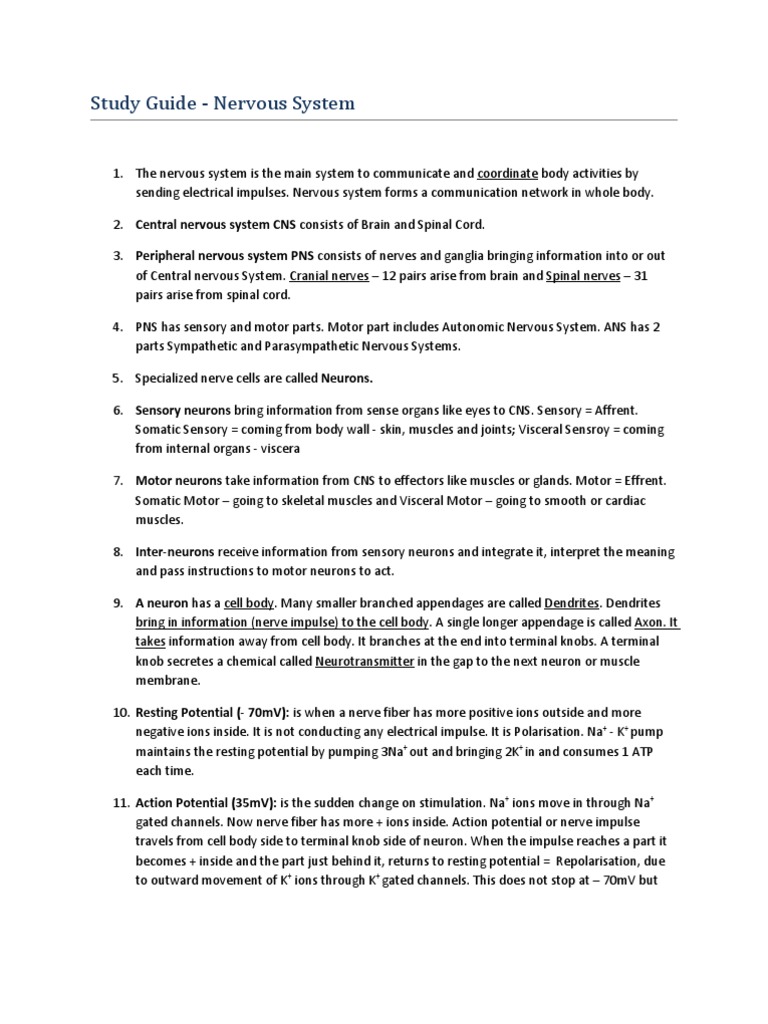 Nervous System Study Guide | PDF | Cerebrum | Nervous System