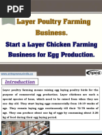 Layer Chicken Feed Consumption Chart | PDF