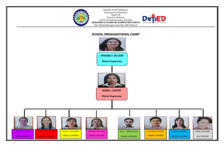 School Organizational Chart | PDF