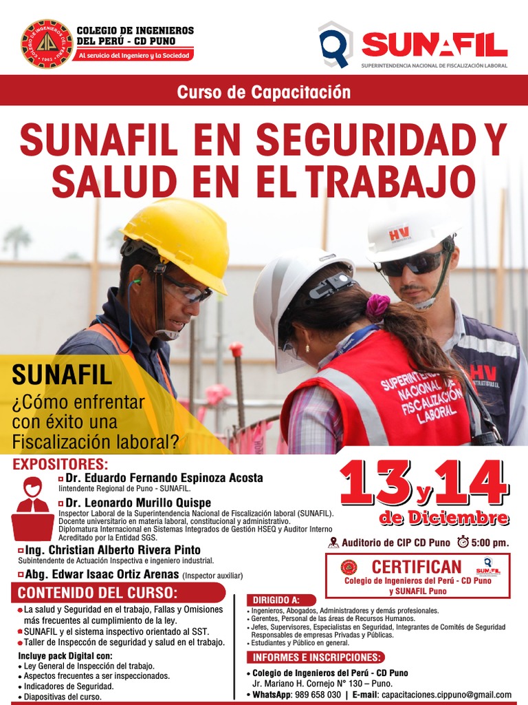 Curso Sunafil | PDF | Business