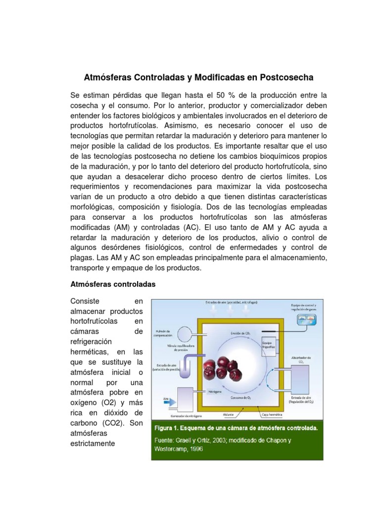 Atmósferas Controladas y Modificadas en Postcosecha.docx | Dióxido de carbono | Oxígeno